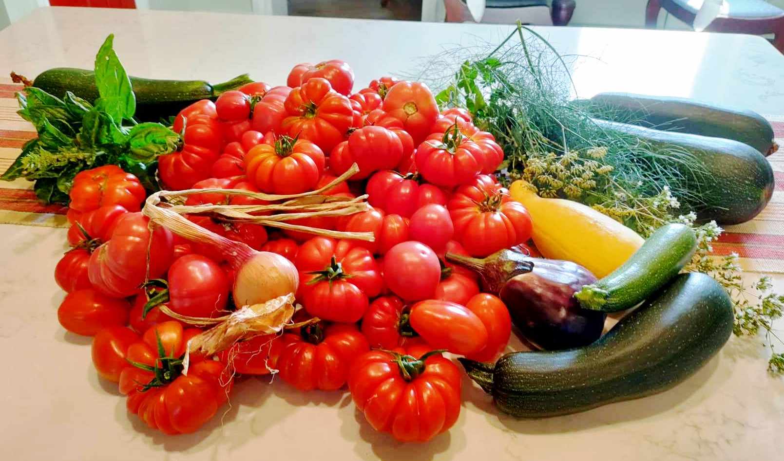 Roasted Vegetable Sauce | Willowdale Farm